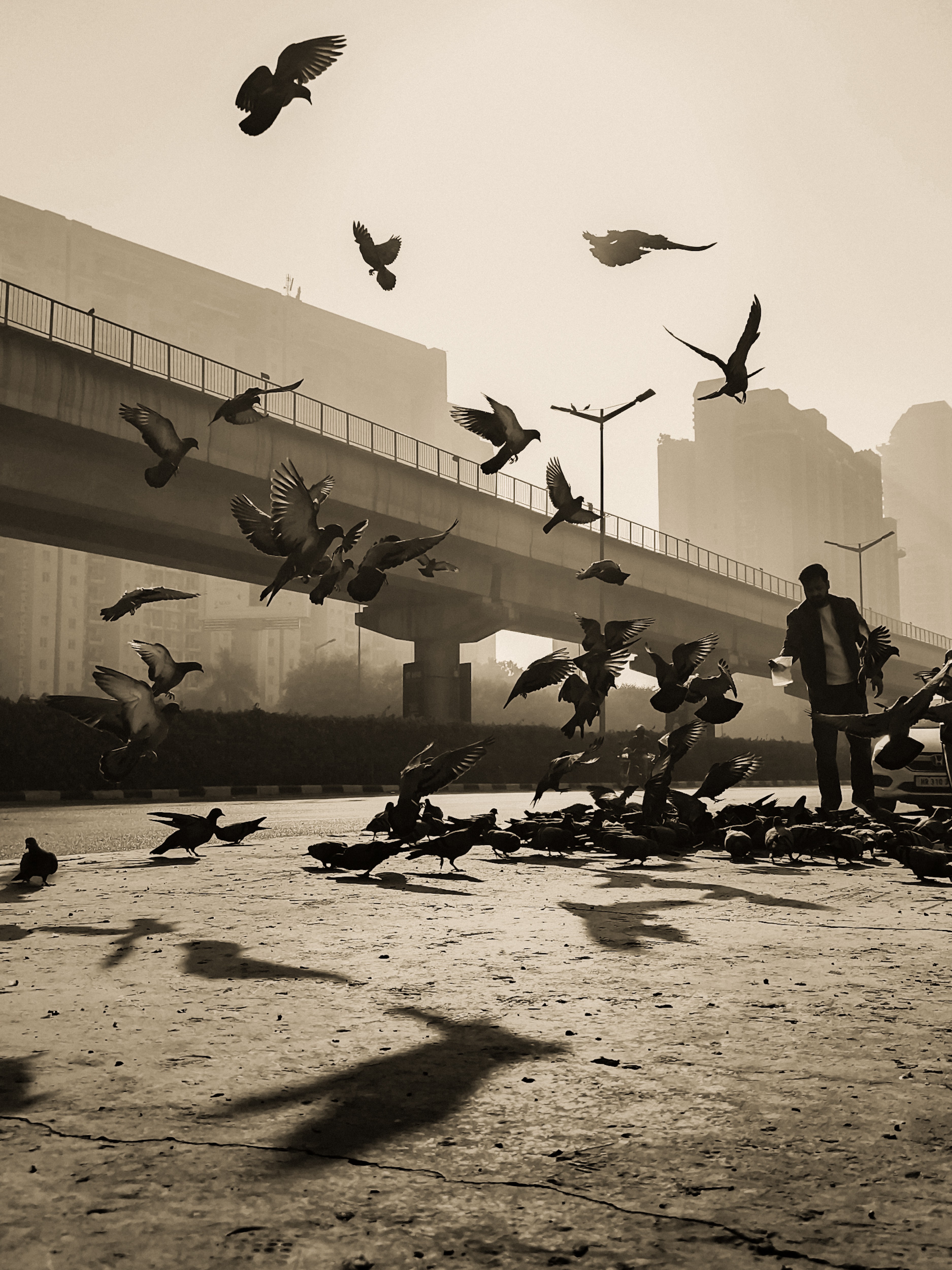 📸 Monthly Photography Challenge - January