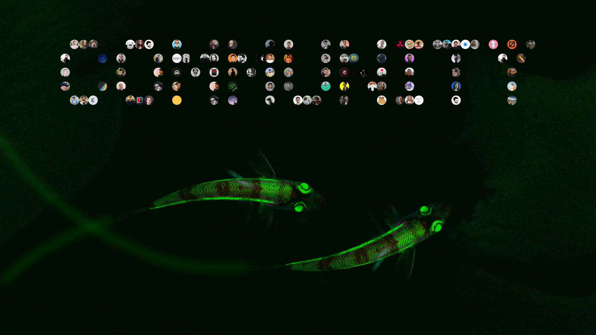 My Year With Nothing 2025 (A List of Projects)