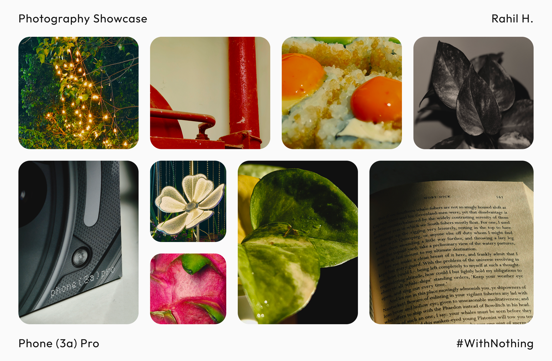 My Year With Nothing 2025 (A List of Projects)